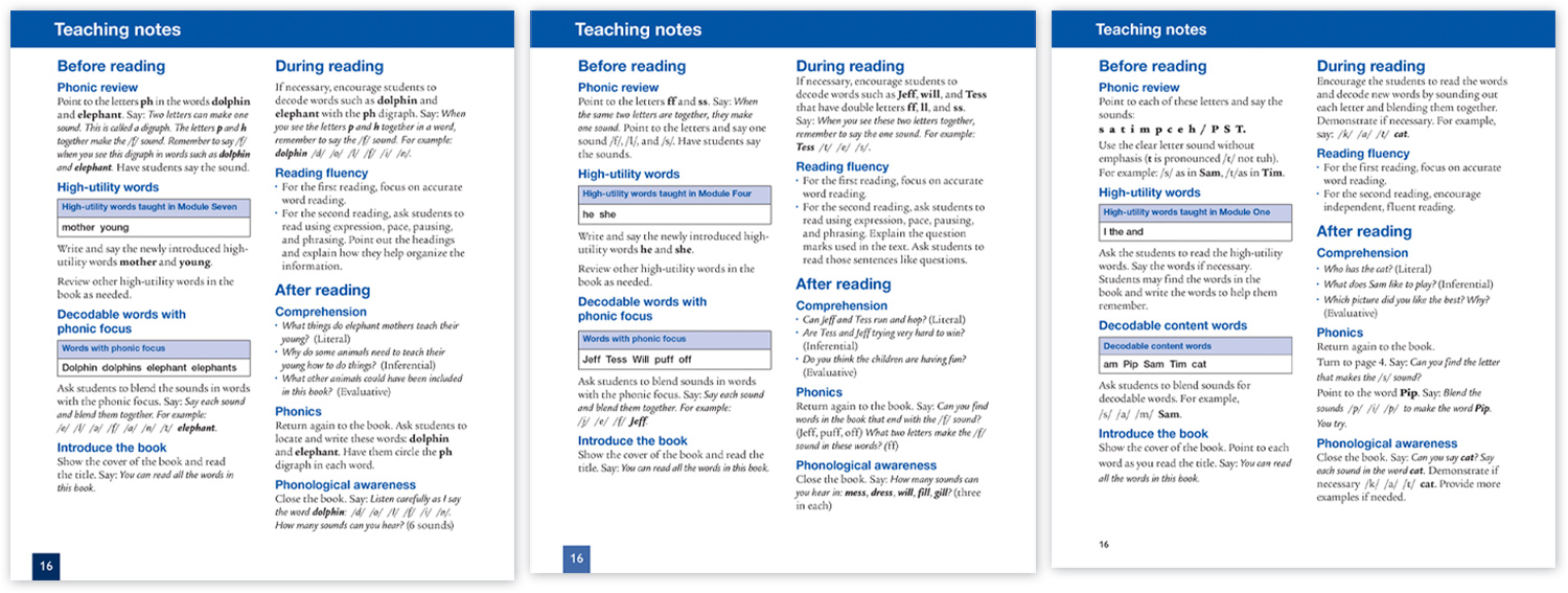 Program Support Materials - Flying Start to Literacy: PHONICS